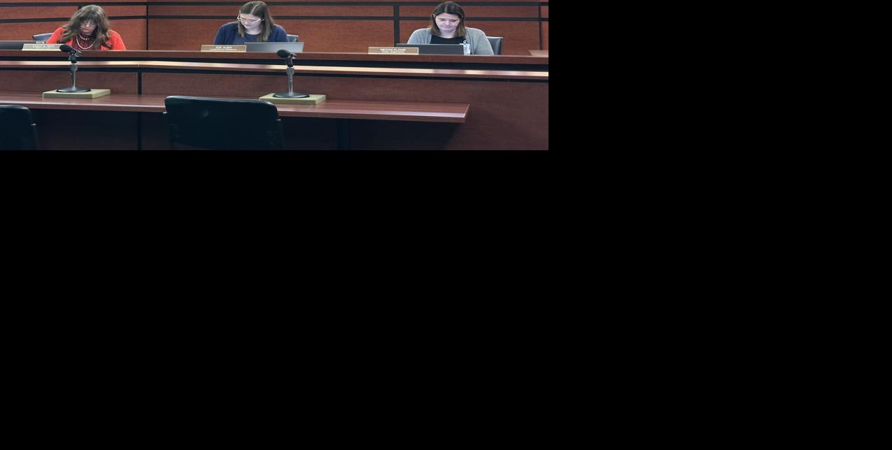 Republican-majority Fort Wayne City Council elects Democrat president ...