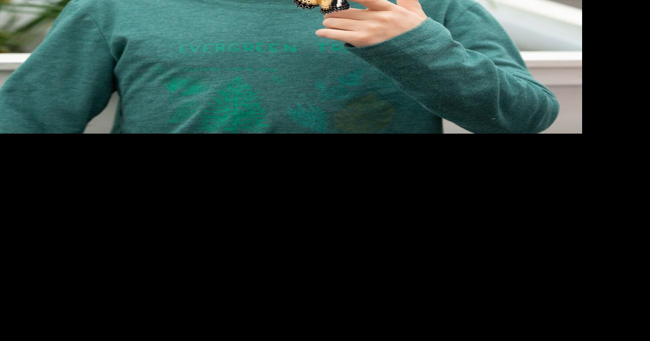 Butterflies flit back to Foellinger-Freimann Botanical Conservatory in Fort Wayne ...