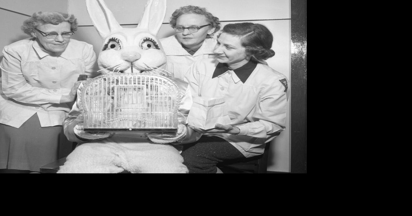 March 28, 1955: Philharmonic Easter Bunny pays a visit | History ...