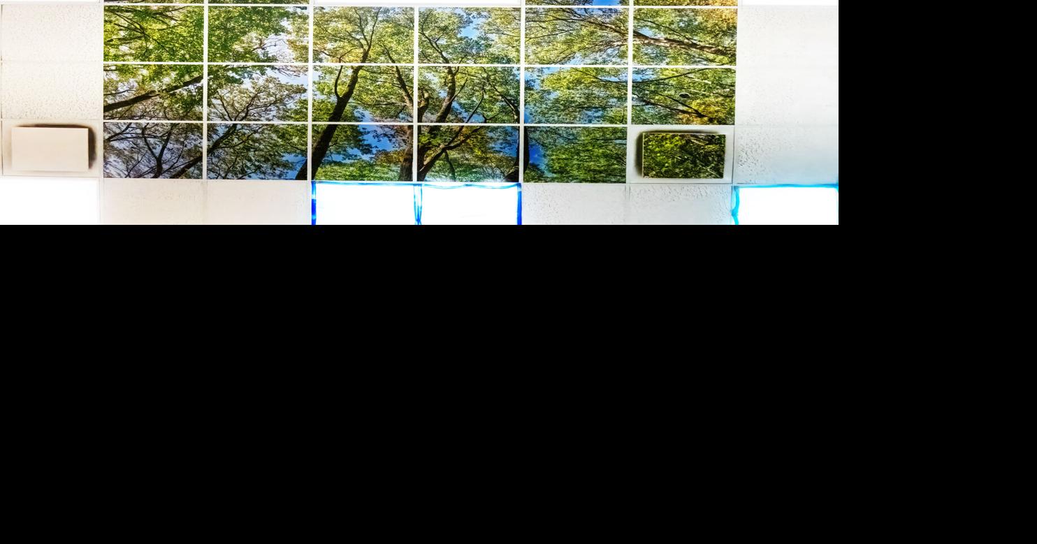 Education Notebook: Allen County Juvenile Center brings nature into ...