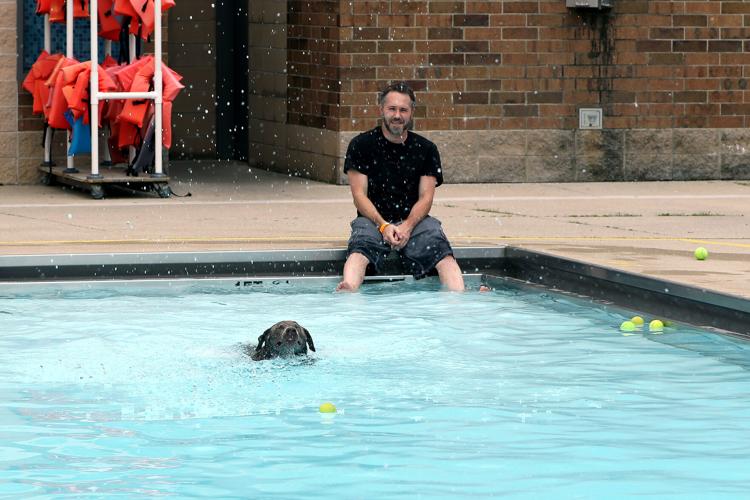 Fort Wayne pool invites dogs in for one last dip | Local ...