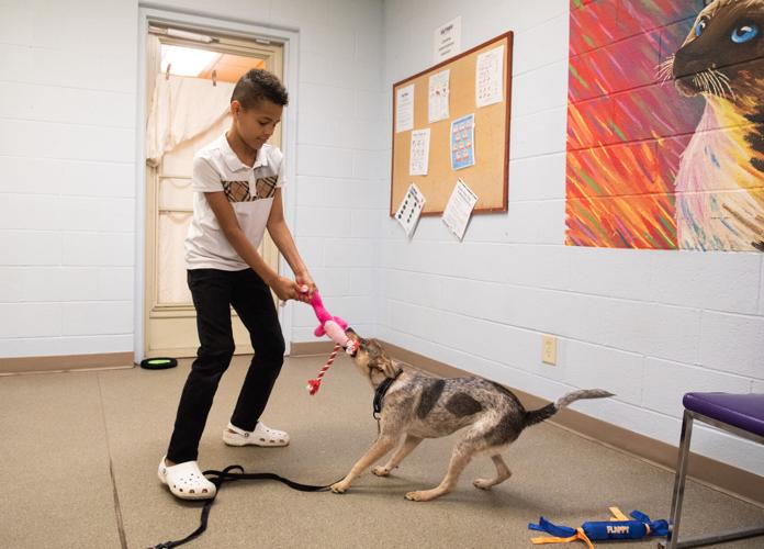 Humane Fort Wayne | Local | journalgazette.net