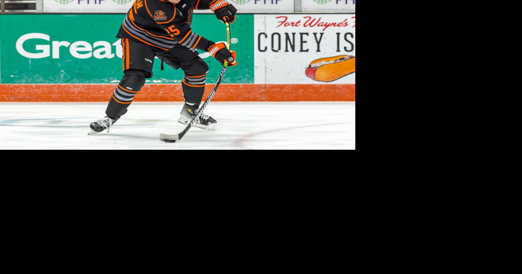 Zach Jordan scores in return as Komets best Bloomington | Komets ...