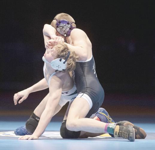 Pair from area fall in title match | Sports | journalgazette.net