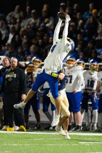 Bishop Dwenger tops unbeaten East Noble for sectional title | High ...