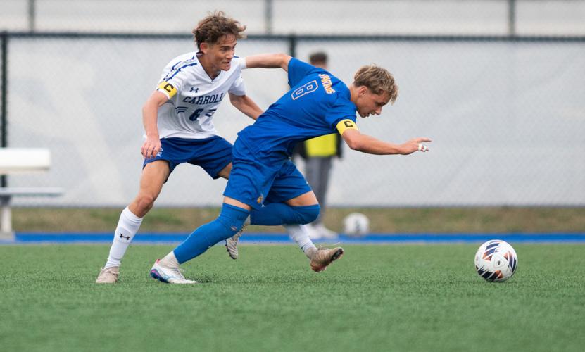 Homestead boys soccer scores twice in OT to down Carroll in regional ...