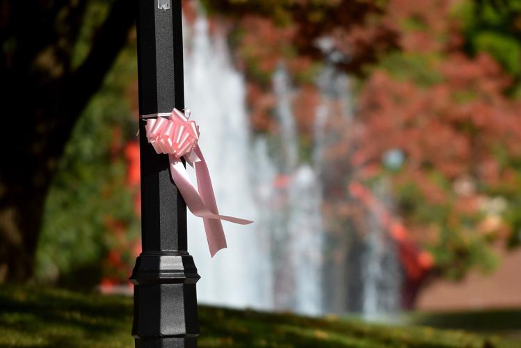 Painting the town pink | Local | journalgazette.net