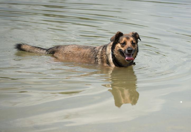 Summer Recreation Events Calendar | Recreation | journalgazette.net