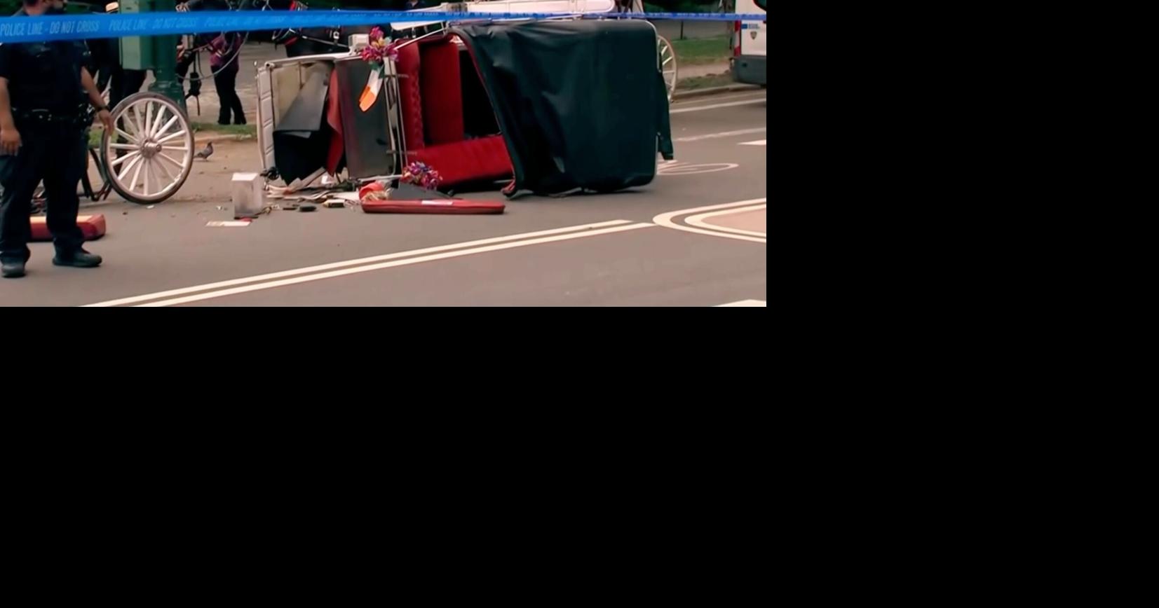 New York mayor, other leaders push to ban horse-drawn carriage rides ...
