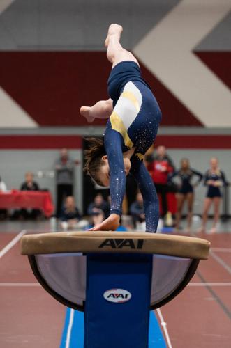 Saturday Gallery: Huntington North gymnastics regional | Multimedia ...