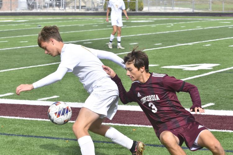 Concordia gets 1st boys soccer sectional title since 2018, beats ...