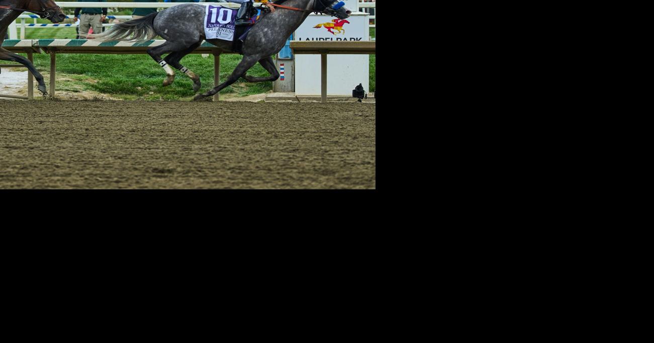 Napoleon Solo holds off Iron Honor to win the Preakness | Professional ...