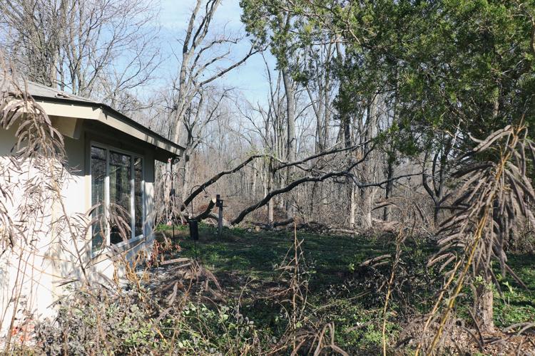 Response to Fox Island's derecho damage continues five months later ...