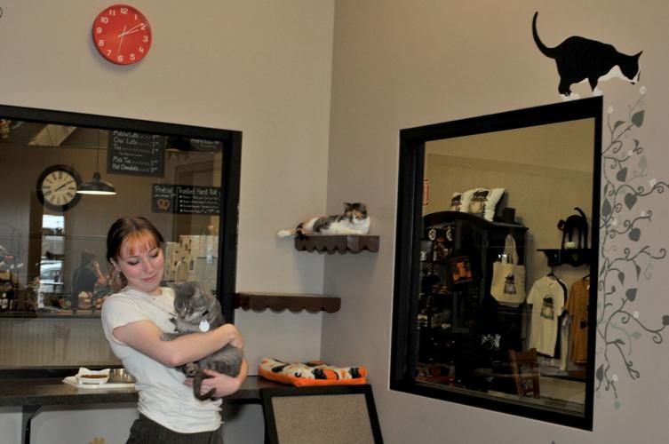 Where to get more than a band with your food in Fort Wayne | Living ...