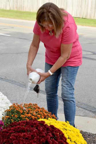 Watering mums | Local | journalgazette.net