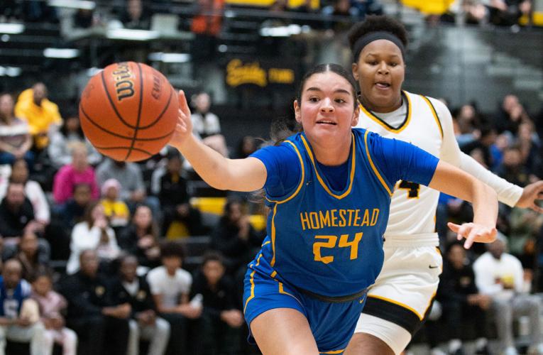 Homestead leads SAC Girls Basketball selections | Sports ...