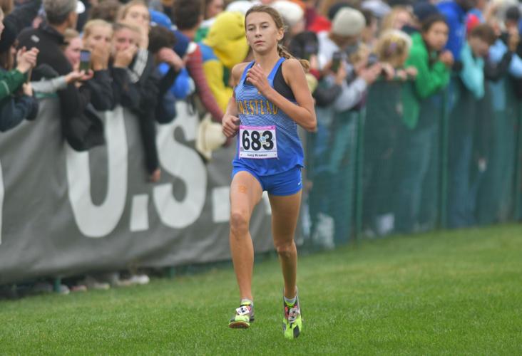 Homestead, Concordia girls go 1-2 at cross country state finals | High ...