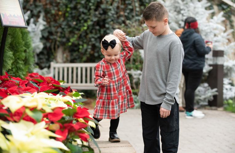 Botanical Conservatory sees uptick in visitors to holiday exhibit ...
