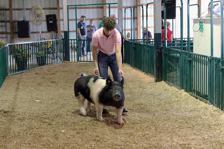 10-year 4-H members reflect on final livestock auction | Local ...