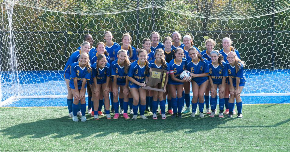 Girls Soccer Sectional Finals: Homestead wins 23rd title | Preps Plus ...