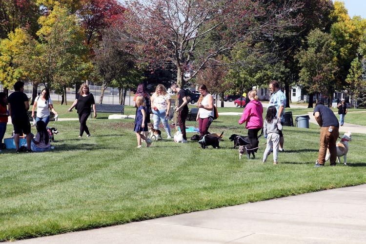 'Dog Days' celebrates pets' paws-itive effects | Local | journalgazette.net