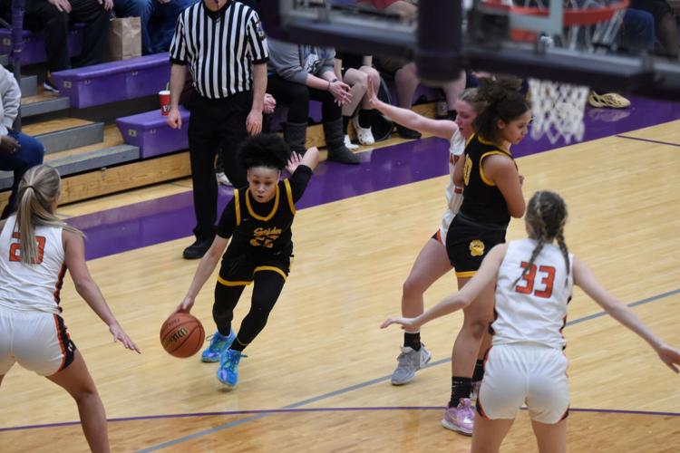 Saturday Gallery: Girls Basketball Regionals, Snider vs. Harrison ...