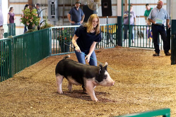 10-year 4-H members reflect on final livestock auction | Local ...