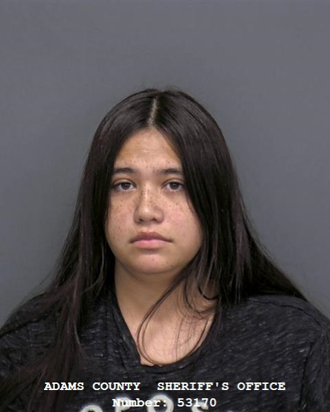 2 charged with neglect of a dependent after 2-year-old dies of hyperthermia in Berne | Courts ...