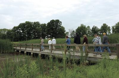 Limberlost archaeological survey among Historic Preservation Fund grant ...