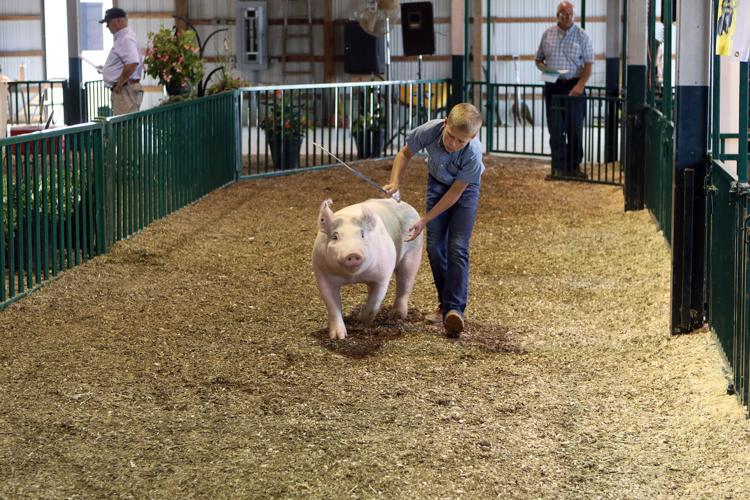 10-year 4-H members reflect on final livestock auction | Local ...