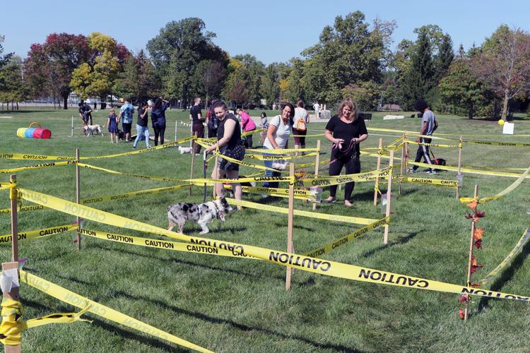 'Dog Days' celebrates pets' paws-itive effects | Local | journalgazette.net