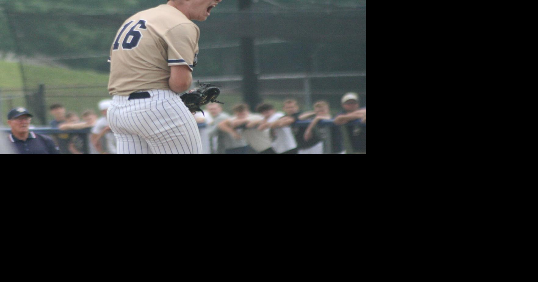 Norwell wins regional baseball title against Bishop Dwenger | High ...