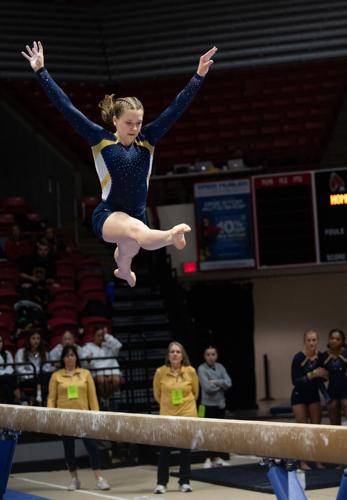 Bishop Dwenger wins gymnastics state title | High Schools ...