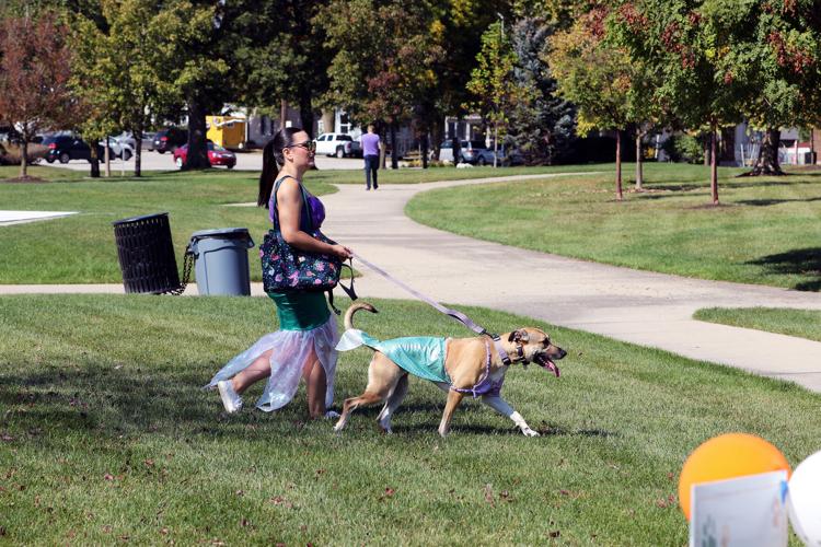 'Dog Days' celebrates pets' paws-itive effects | Local | journalgazette.net