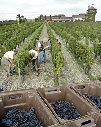 China enjoys wine boom | Business | journalgazette.net