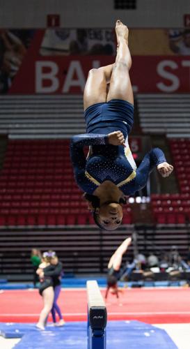 Bishop Dwenger wins gymnastics state title | High Schools ...