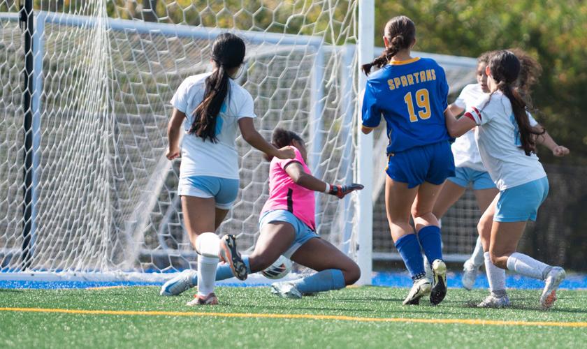 Girls Soccer Sectional Finals: Homestead wins 23rd title | Preps Plus ...