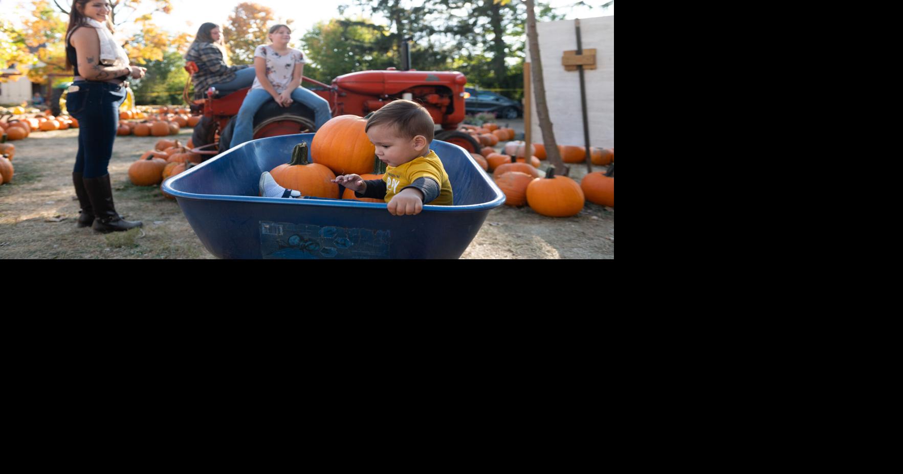 Fall fun at Hilger Family Farm | Local | journalgazette.net