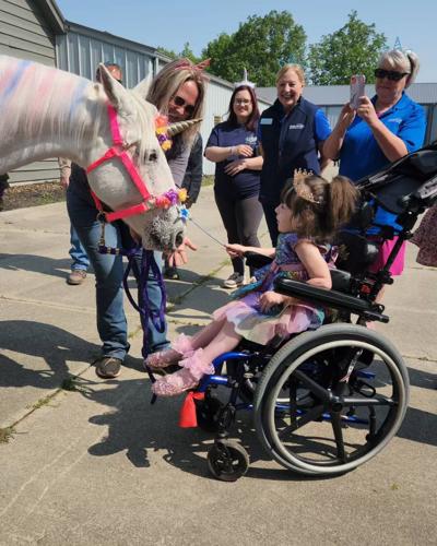Make-A-Wish leader reflects on more memorable wishes granted | Local ...