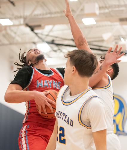 Saturday Gallery: Wayne defeats Homestead in Class 4A sectional ...