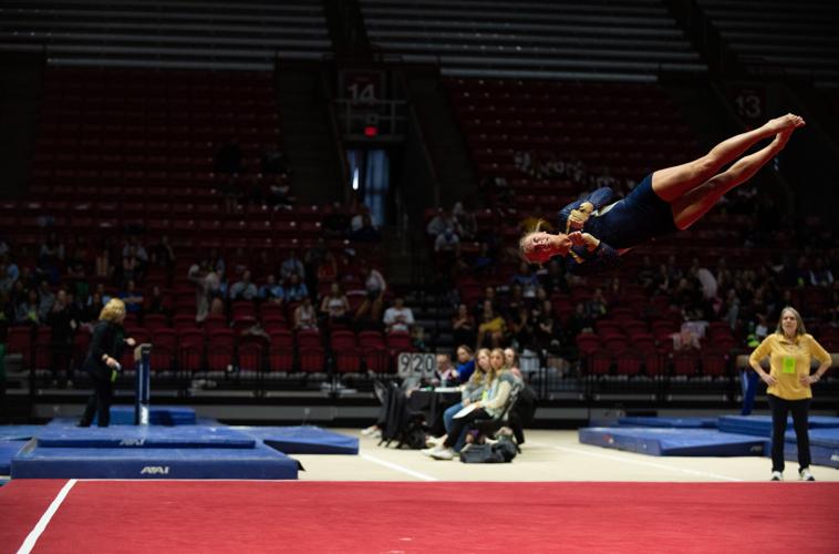 Bishop Dwenger wins gymnastics state title | High Schools ...