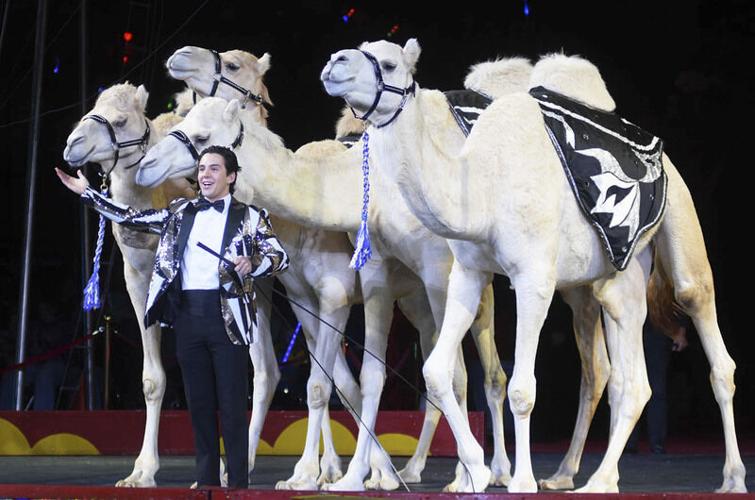 Sunday Gallery: The Mizpah Shrine Circus | Photo Galleries ...