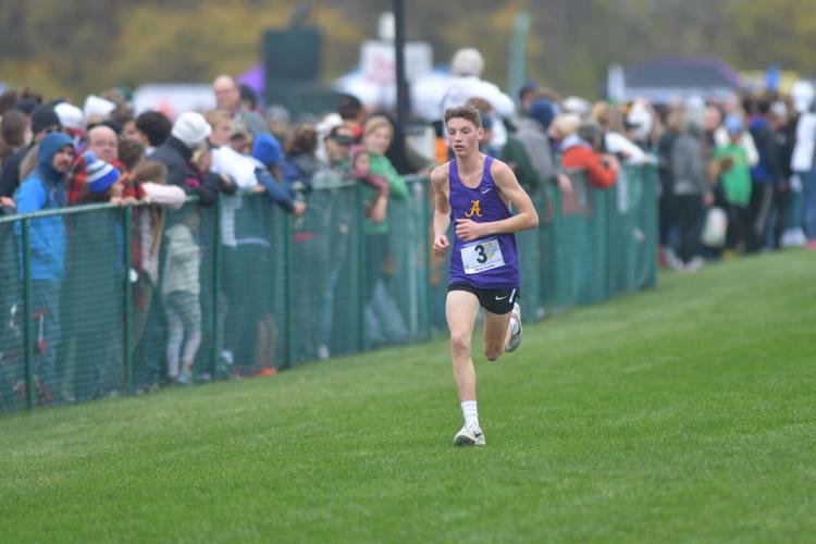 Homestead, Concordia girls go 1-2 at cross country state finals | High ...