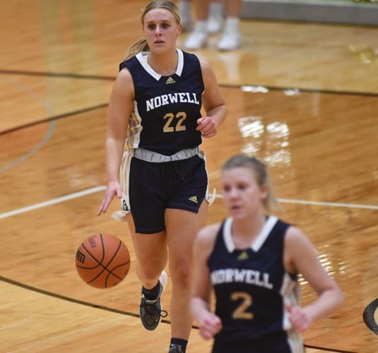Norwell, Bishop Luers girls punch tickets to state finals | High Schools | journalgazette.net