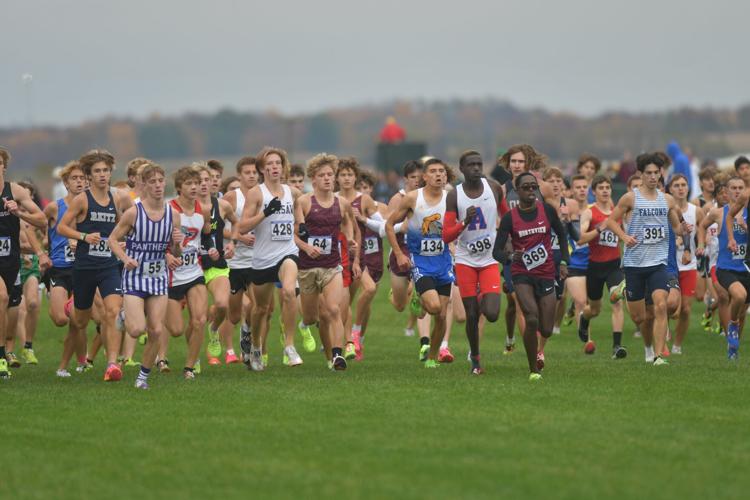 Homestead, Concordia girls go 1-2 at cross country state finals | High ...
