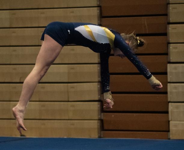 2023 All-SAC Gymnastics team announced | Preps Plus | journalgazette.net