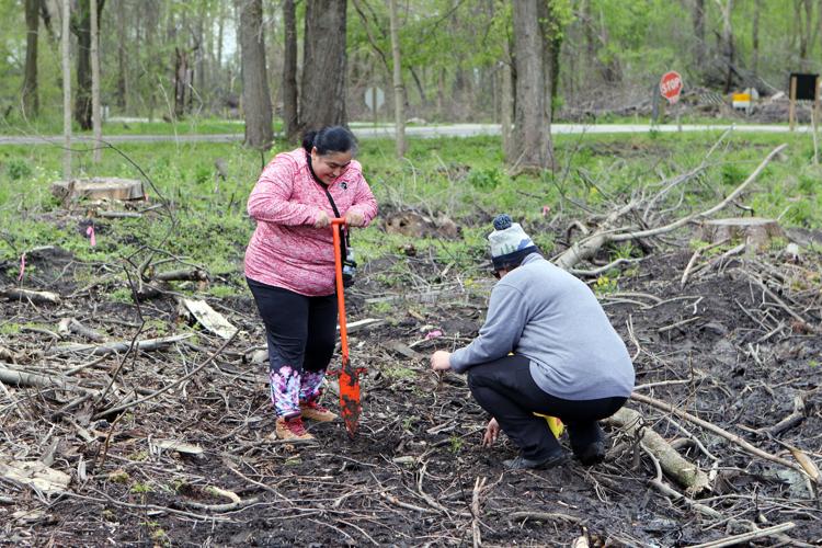 Tree planting at Fox Island County Park | Local | journalgazette.net