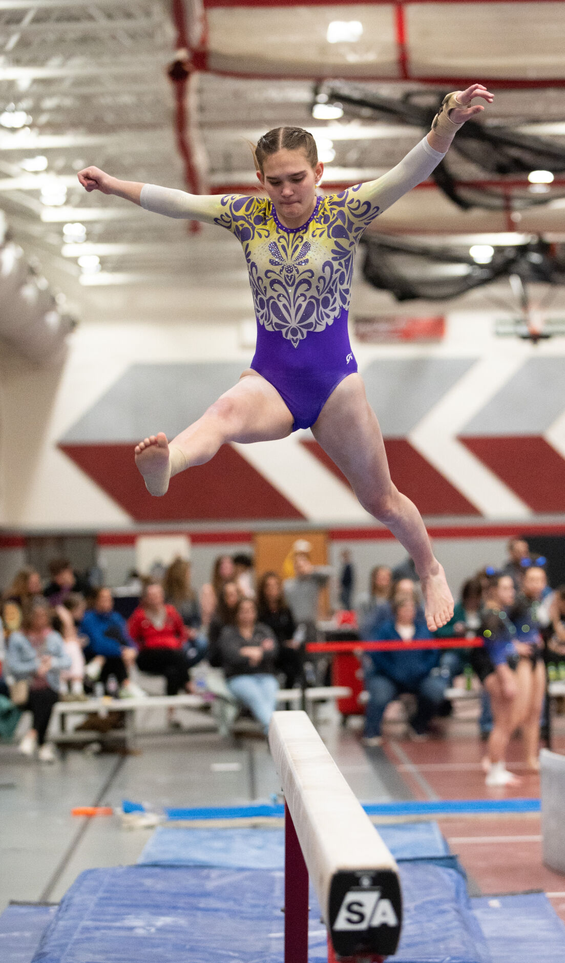 Bishop Dwenger defends regional gymnastics title with stellar score ...