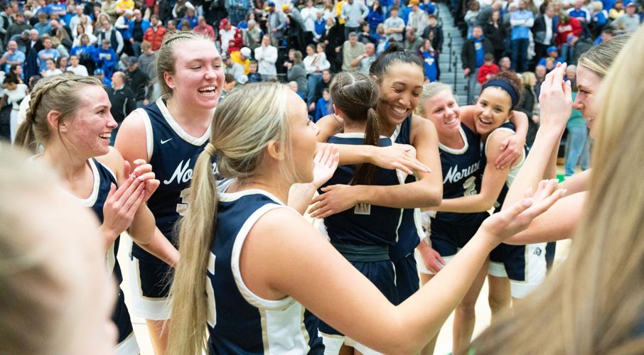 Norwell upsets Homestead to win South Side Sectional title | High ...