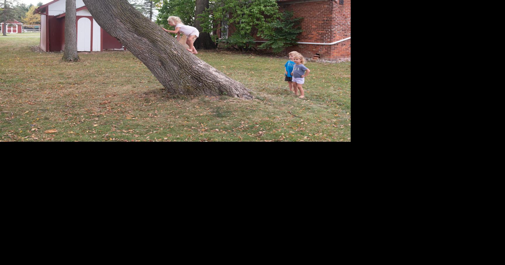 Solomon Farm Park hosts last farmers market of year | Local ...